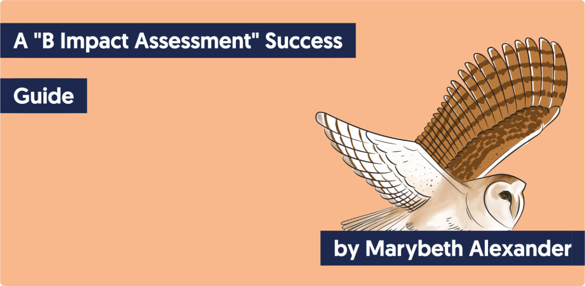 A “B Impact Assessment” Success Guide | by KnowledgeOwl | Medium