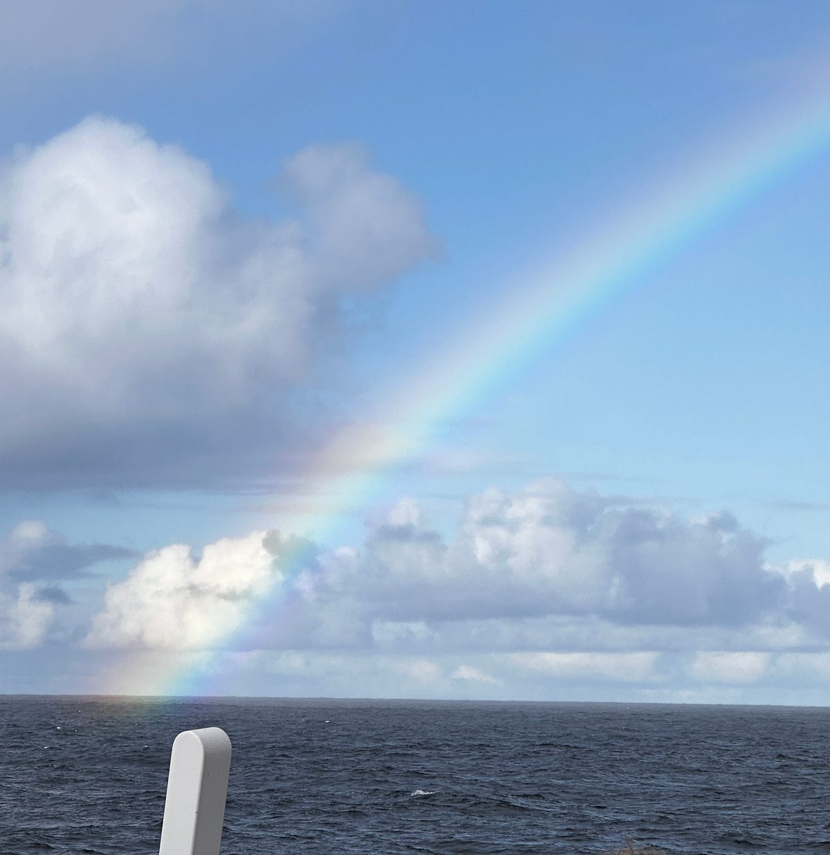 Chasing Rainbows: My Family’s Whirlwind Sydney Adventure | by Deanna ...