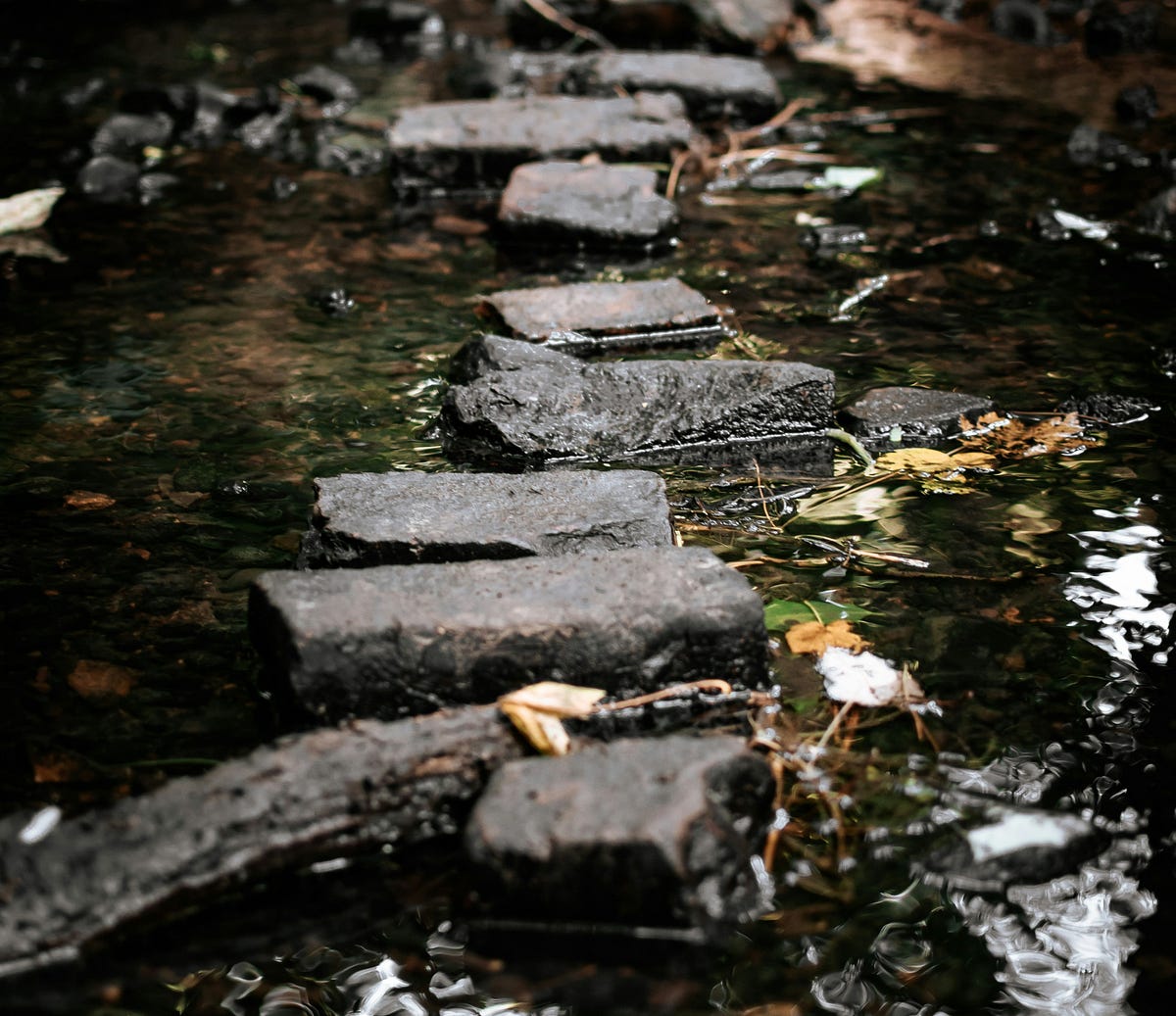 Stepping Stone - New Writers Welcome - Medium