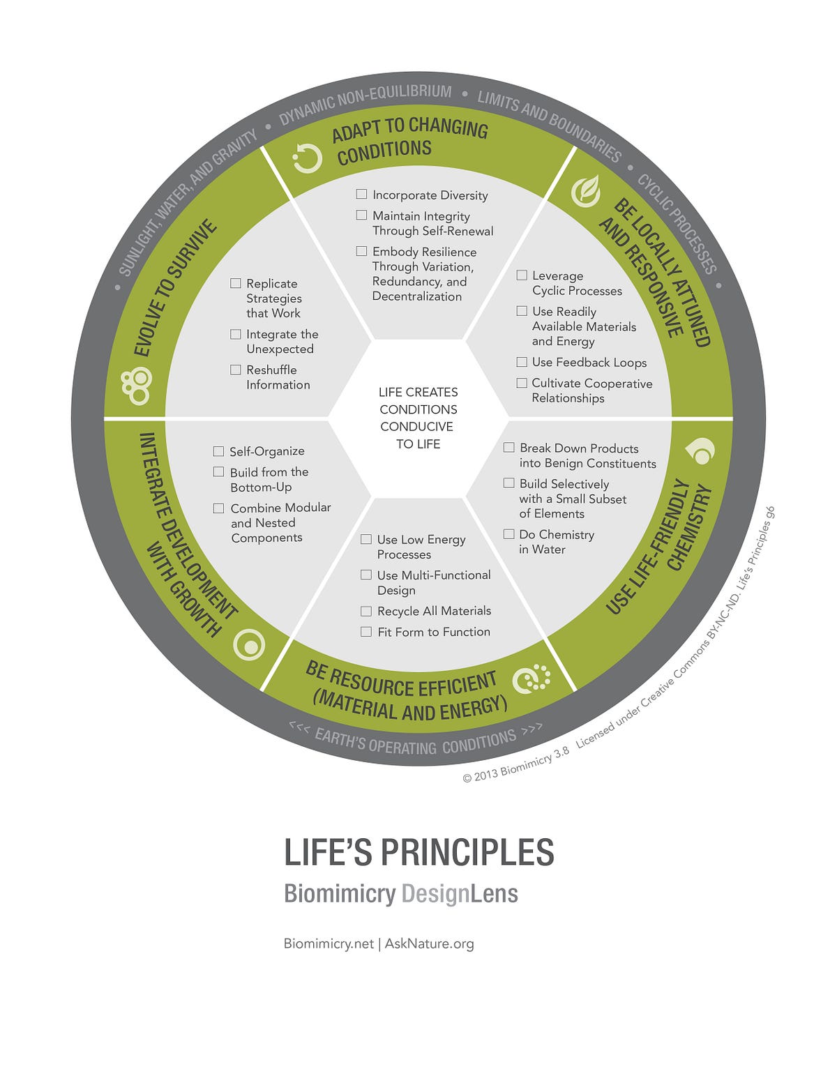 Digital Transformation using Life’s Principles | by Marikie Botha | Medium