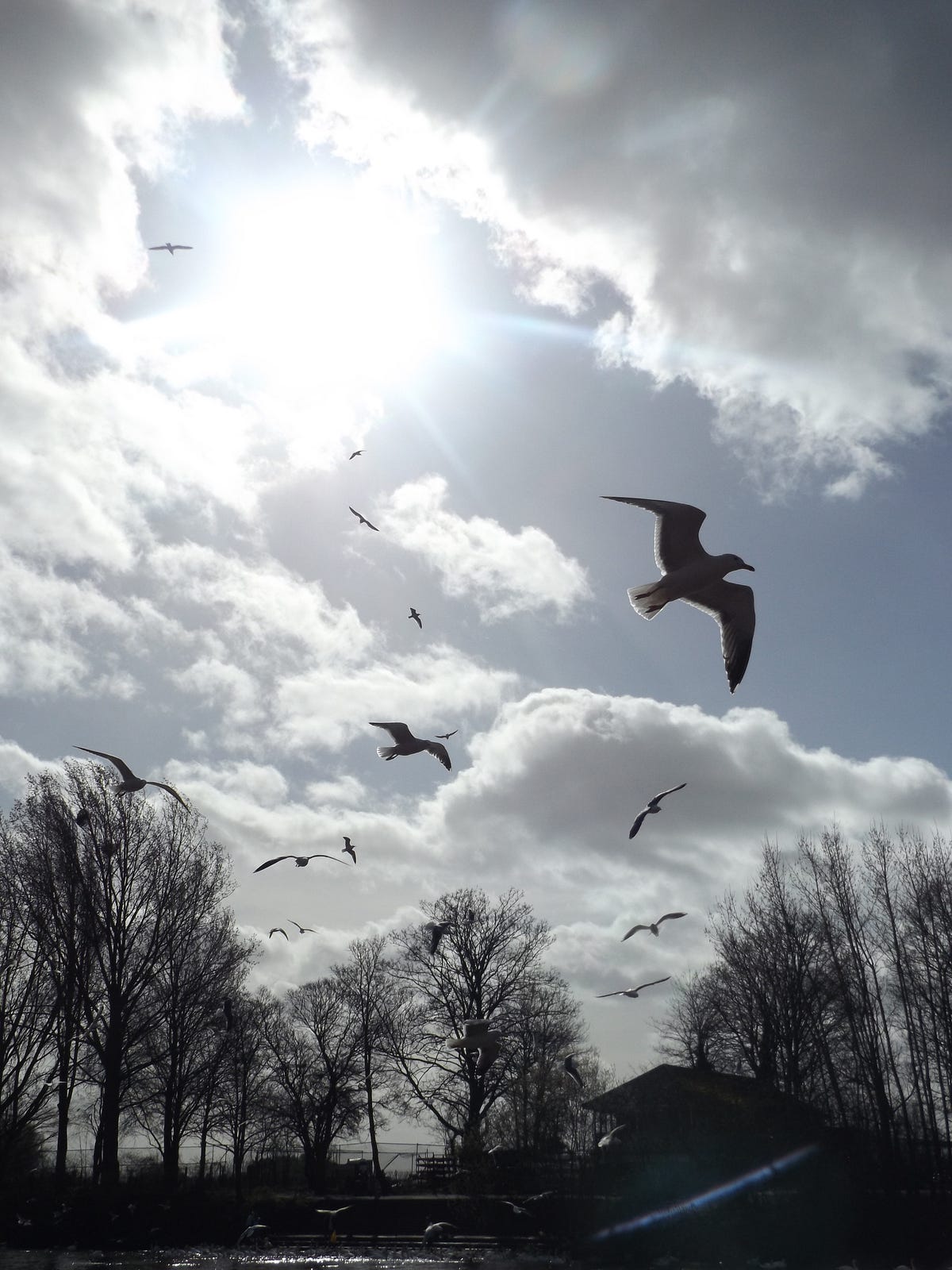 Climbing back up.. My day was going to involve a date, but… | by Nick M ...