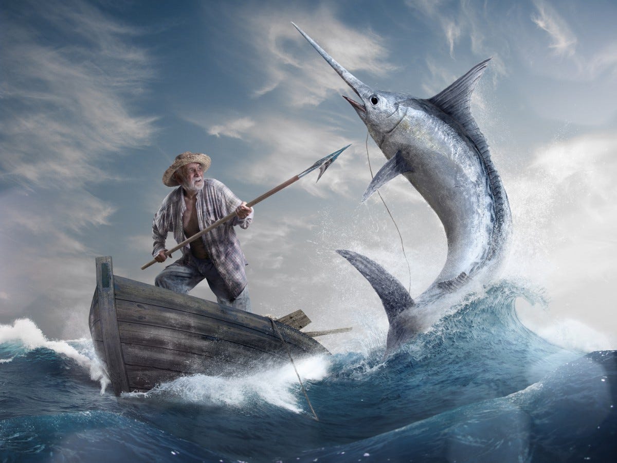 The Old Man And The Sea Marlin Skeleton