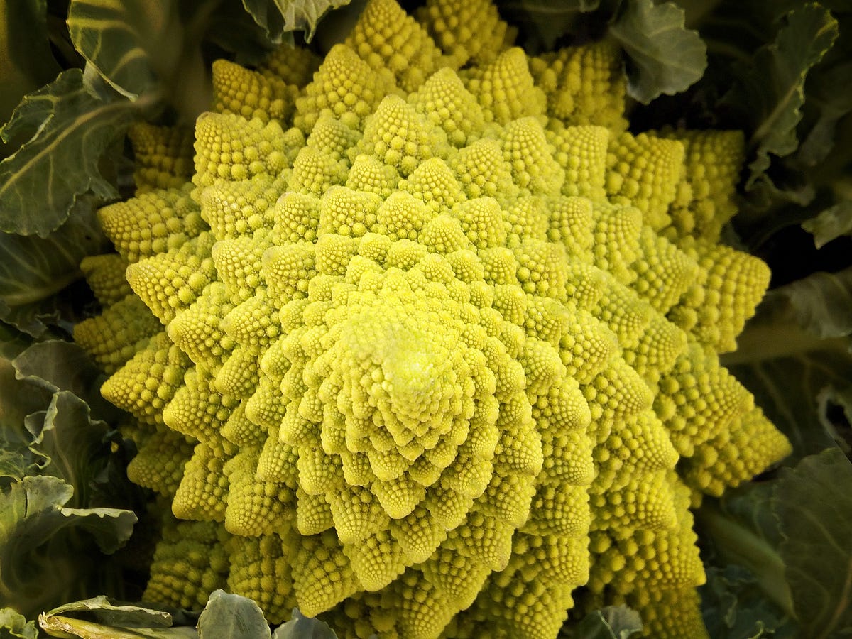 Small Is Big. Think in Fractals.. POM-prompted poetry. About fractals ...