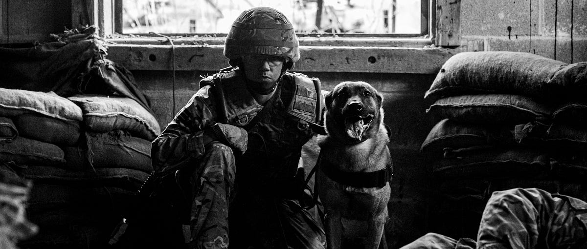 In Pictures: Army photographic competition | by Ministry of Defence ...