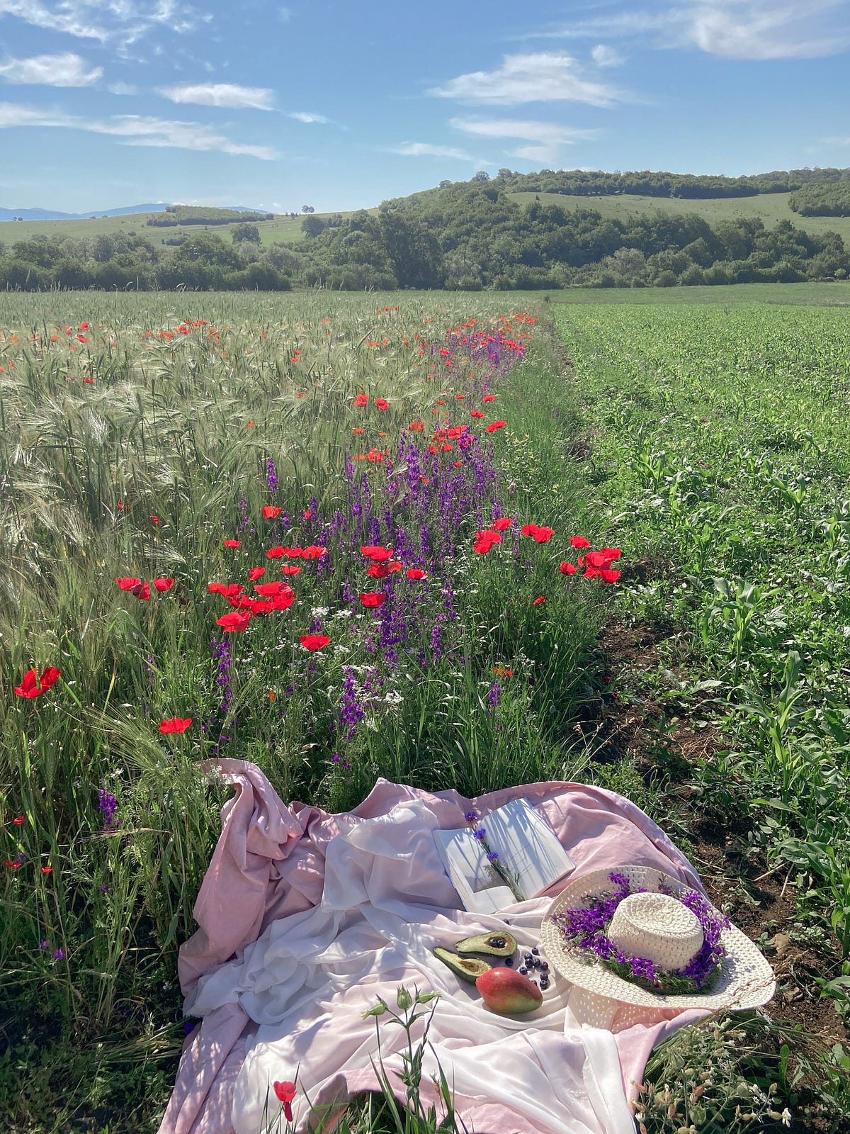 Summer Wind (Story). Here, where future and past meet, is my… | by ...