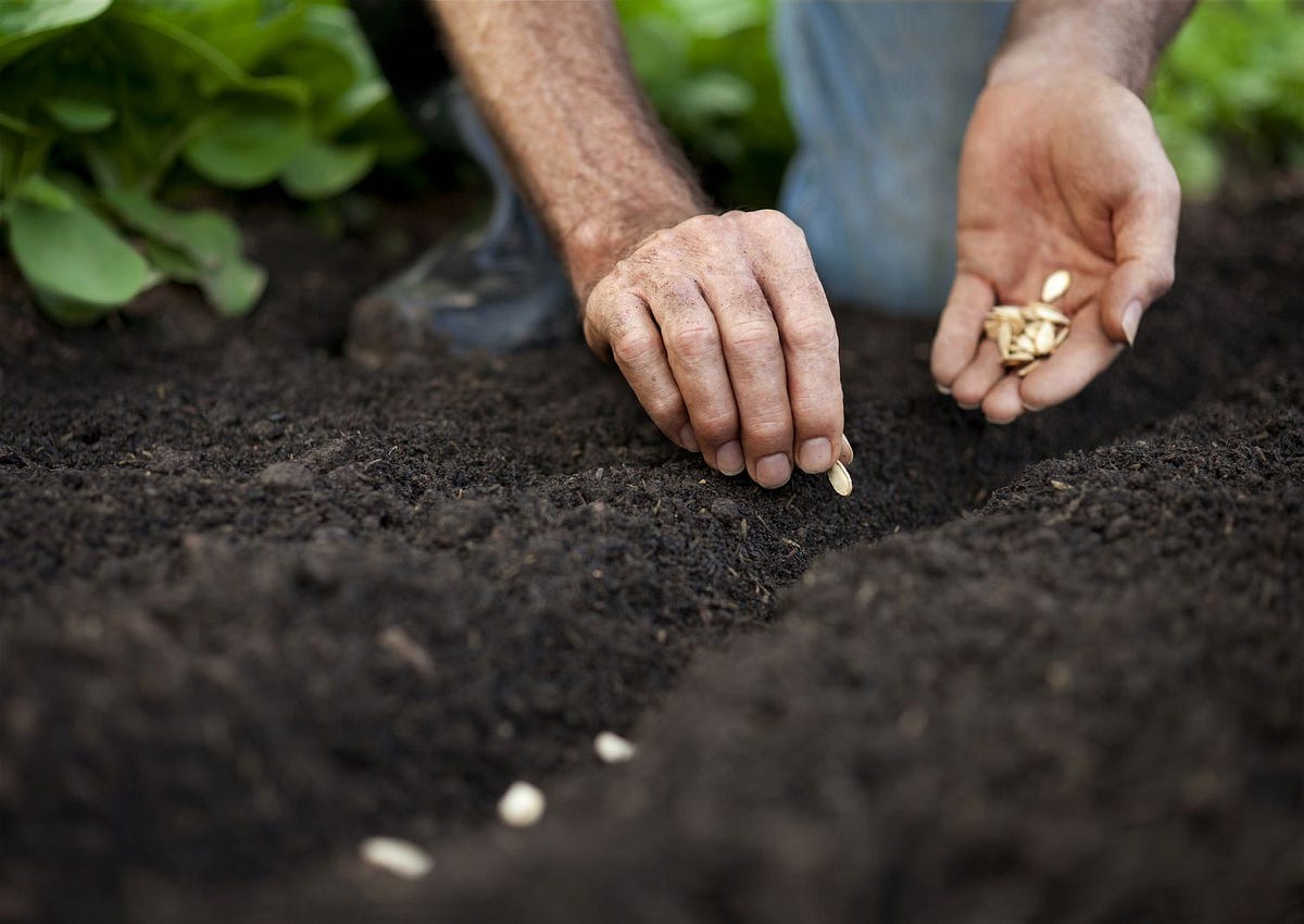 Pre-Seed: 5 Practical Things To Do When It’s Just You And A Startup ...