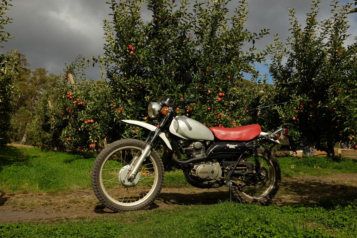 The Apple Isle. I was brought to Melbourne, Australia… | by Ray | Medium