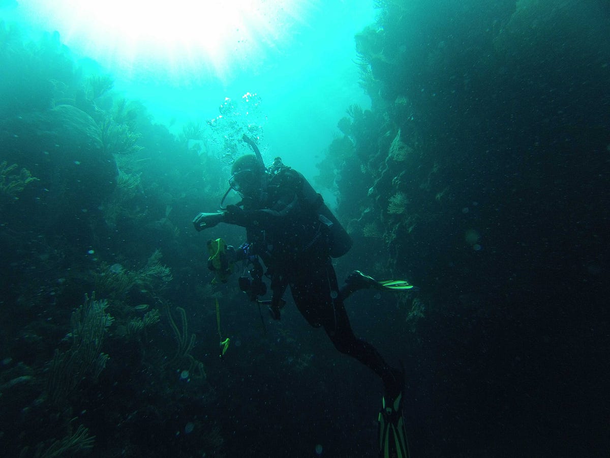 What hides below the surface?. Do we know what hides deep in our ocean ...