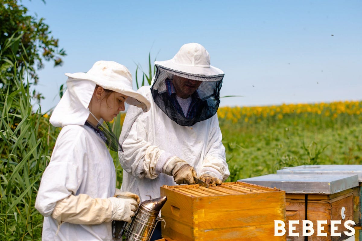 Bee Suit Buying Guide: Navigating Options for Beekeepers | by Hassan ...