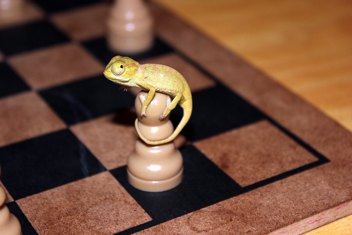Here Are 09 Lessons I Learned From Playing Chess for 02 Years | by Md ...
