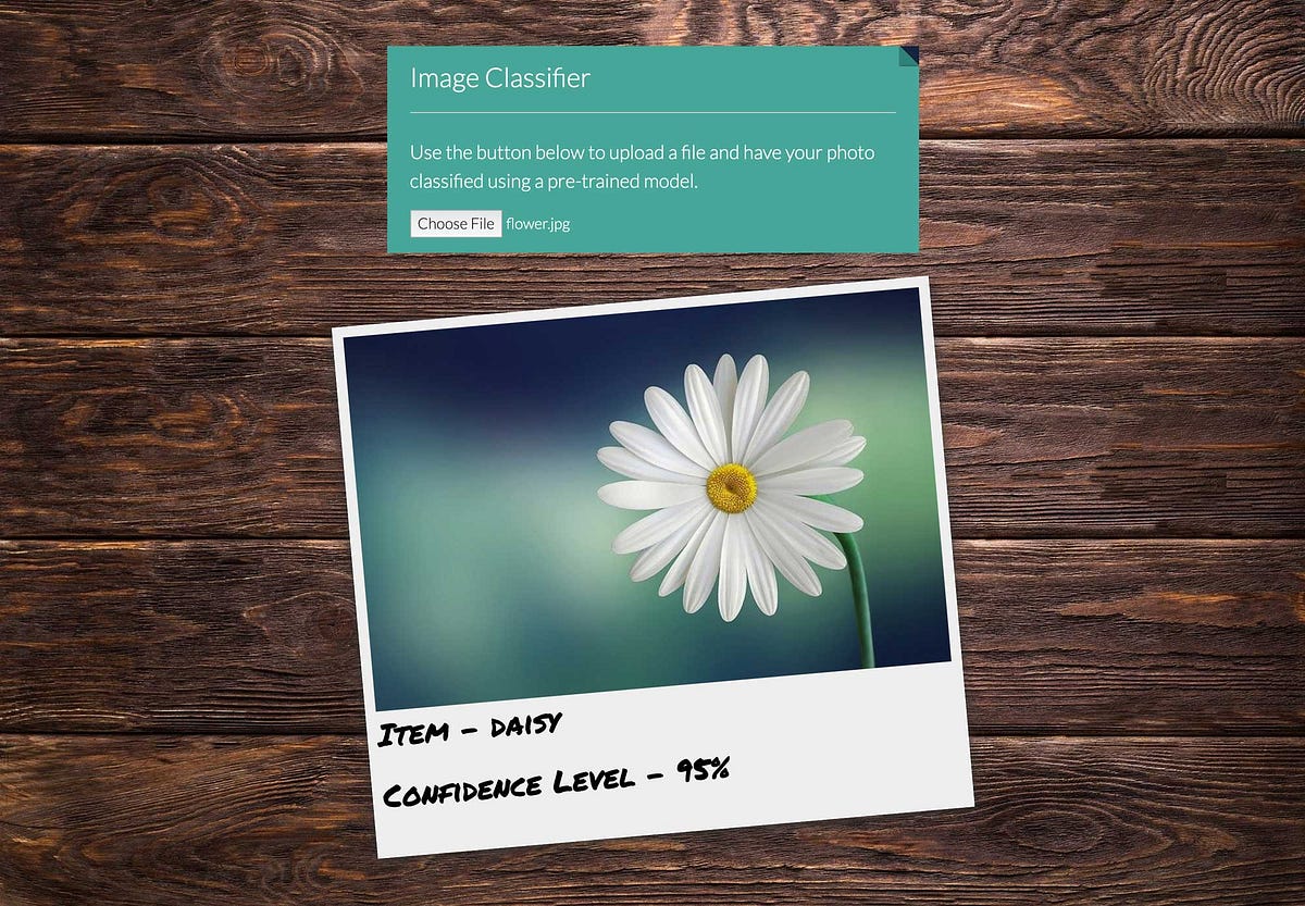 Ml5 Js Image Classifier A Live Example Of The Code… By Denisa Marcisovska Medium