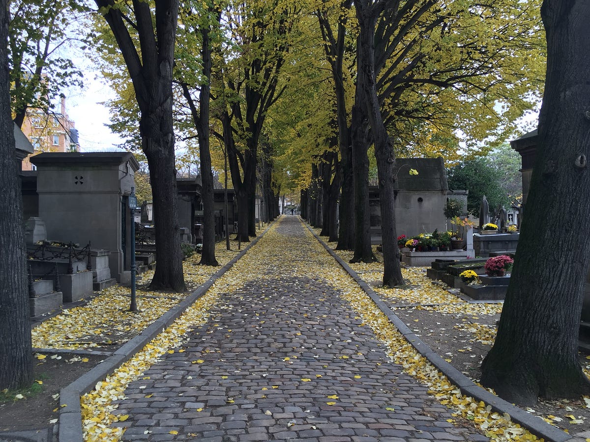 Farewell, My Dear Oscar.. I spent so much time with Oscar Wilde… | by Jason Villemez | Medium