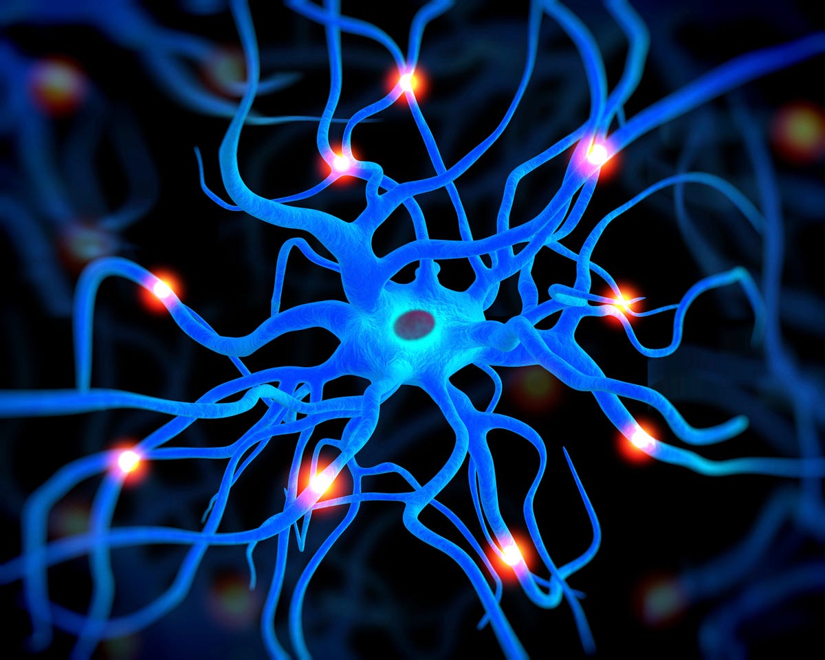 Multiple System Atrophy (MSA): Rare And Progressive Neurodegenerative ...