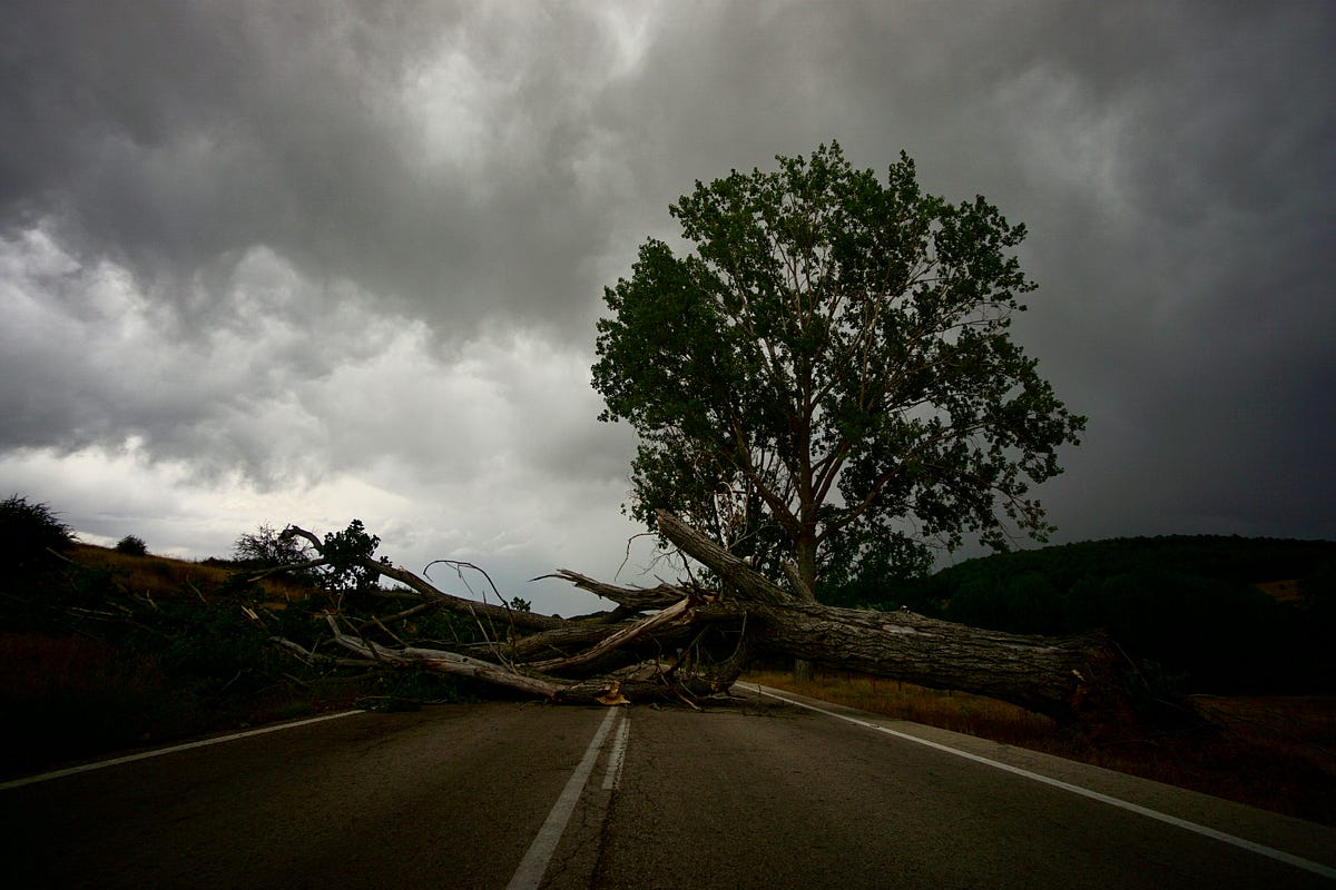 Life Transitions and Roadblocks, What You Need to Ask. | by Sara M ...