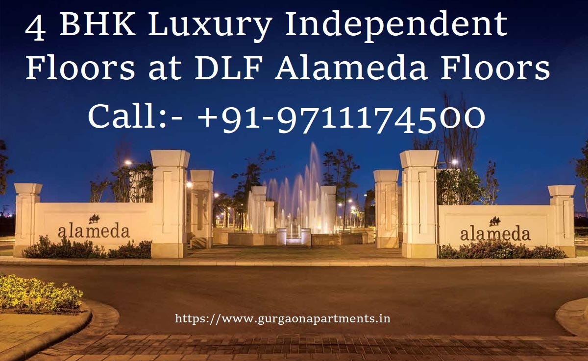 DLF Alameda Floors Gurgaon - DLF Alameda Floors - Medium