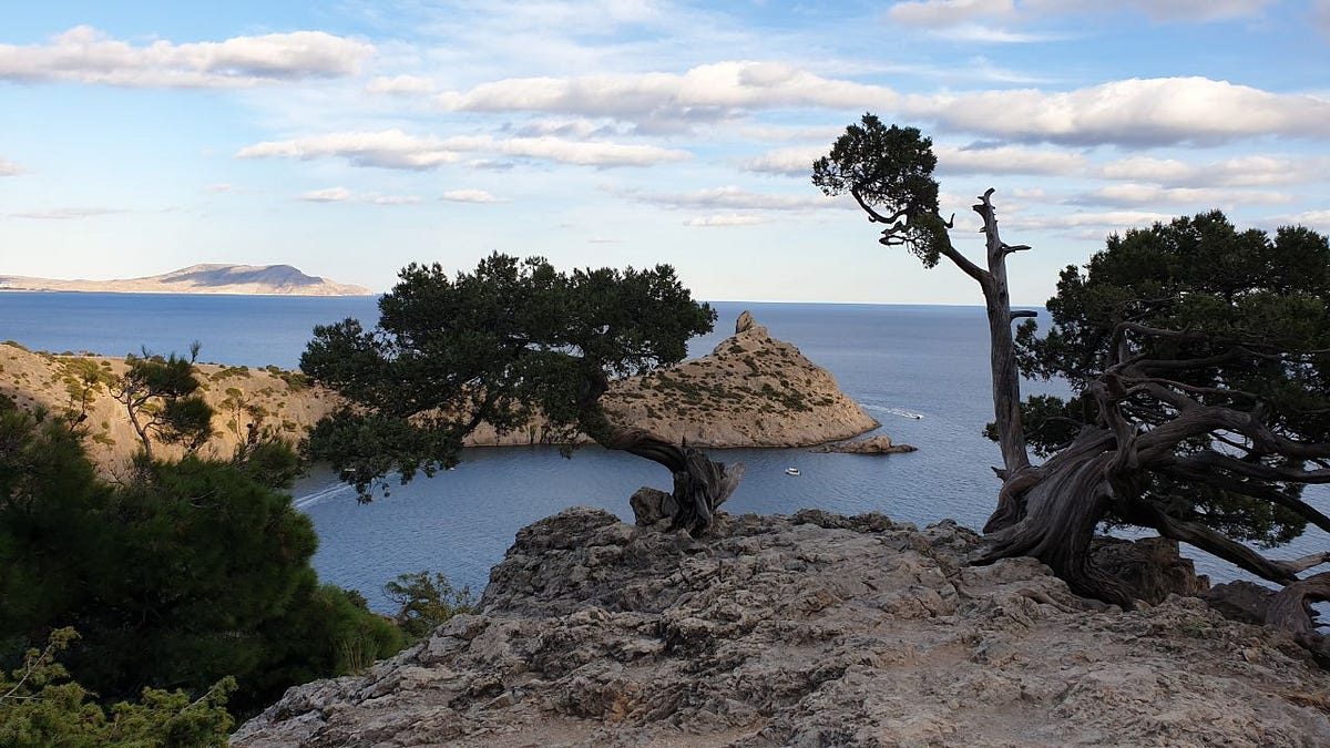 Using Fourier Transform Of Vector Representations Derived From Bert Embeddings For Semantic