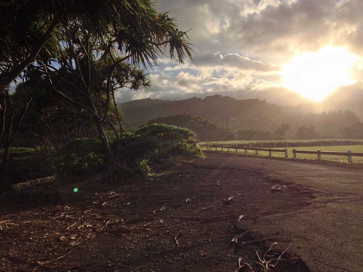 Keeping warm this winter. When I saw the news about snow in Maui… | by ...