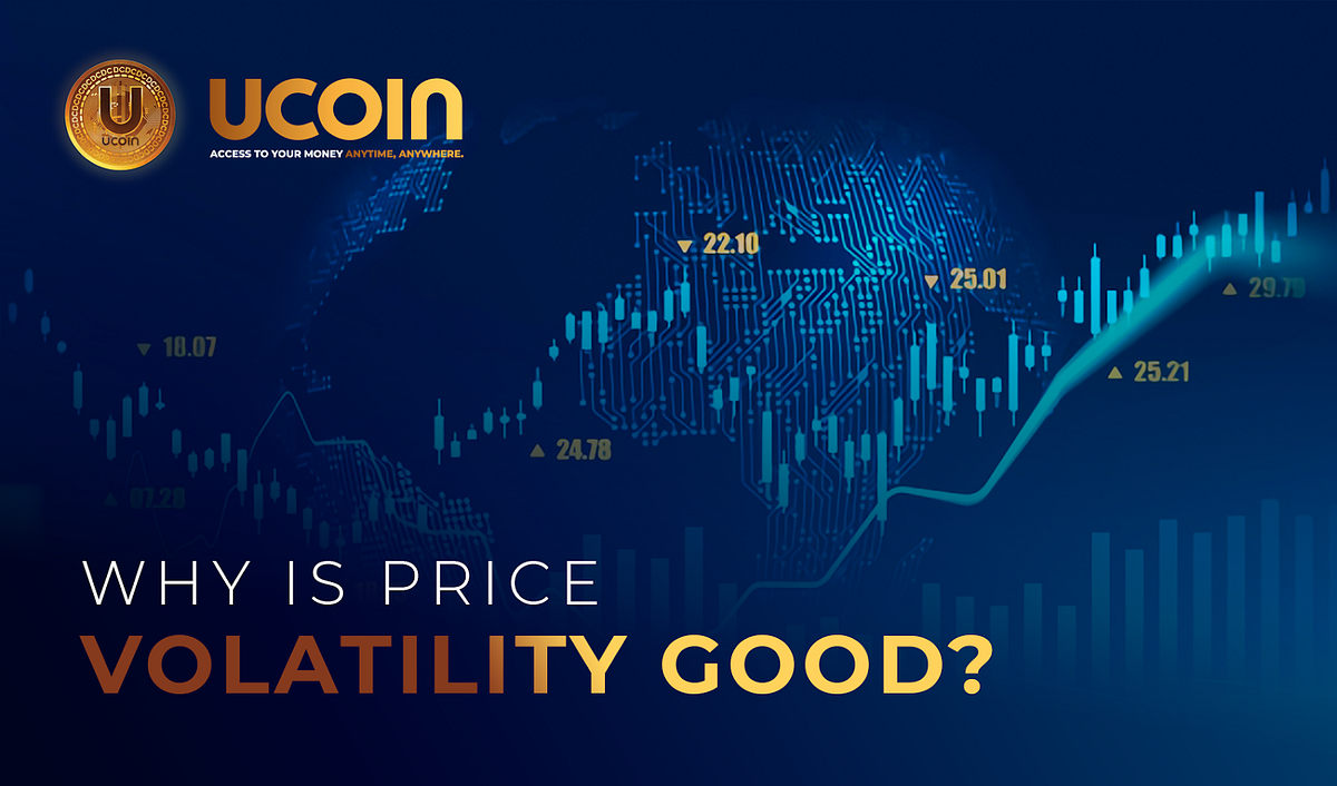 Why Is Price Volatility Good?. Ethereum co-founder Joseph Lublin… | by ...