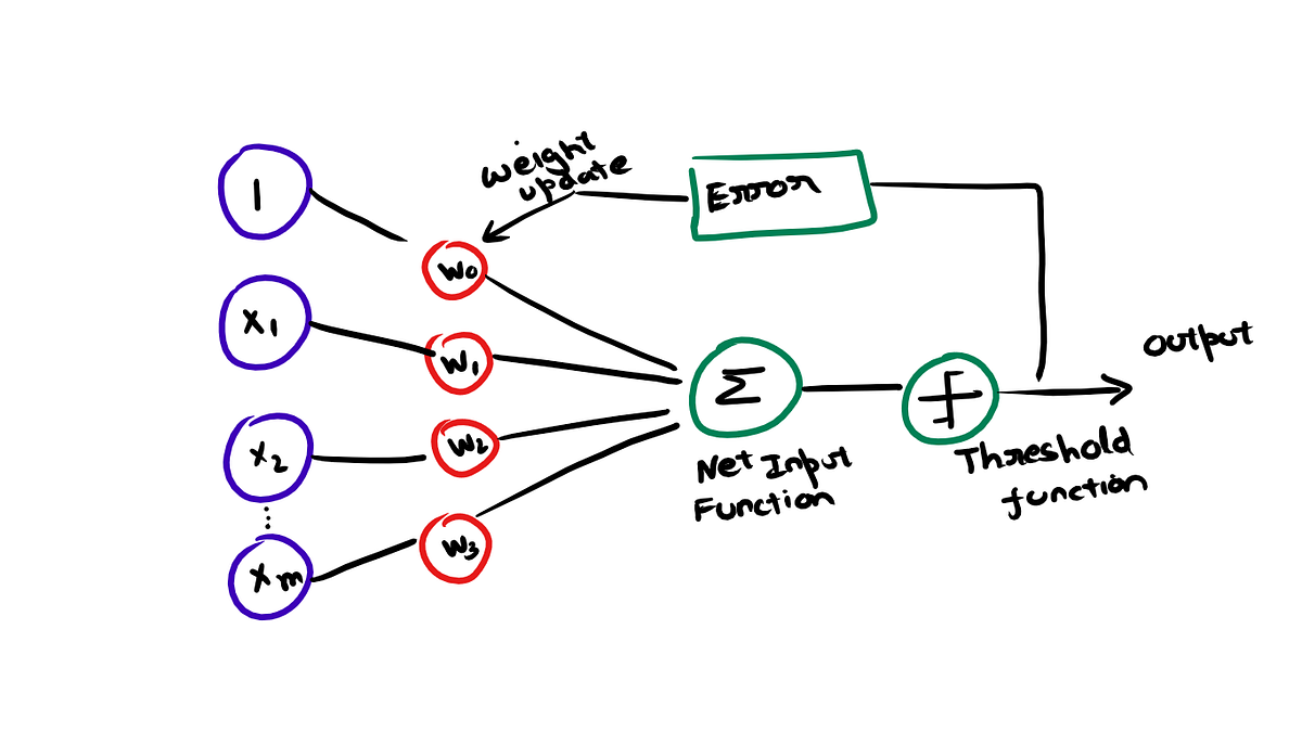 Perceptron: Simplest type of Artificial Neural Network | by Shivam ...