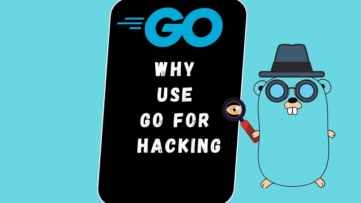 Why Use Go For Hacking. Prior to Go, you could prioritize ease… | by ...