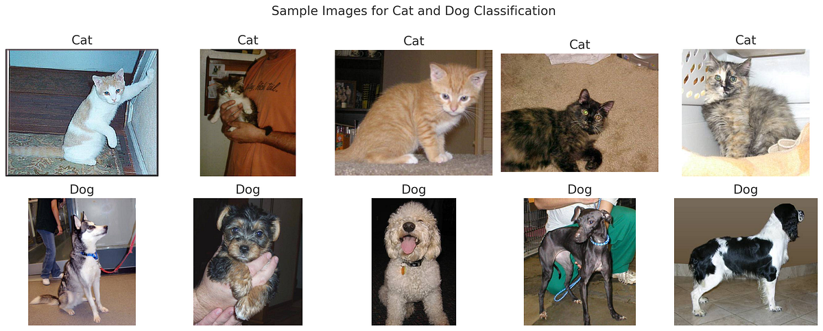 Building a Convolutional Neural Network for Cat vs. Dog Classification | by Soumitra Chowdhury ...