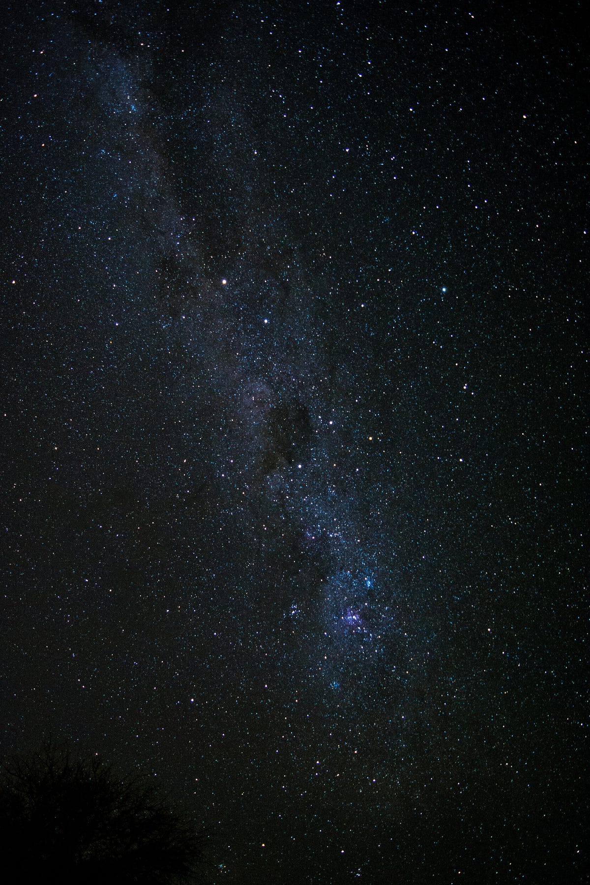 A Reminder to Admire the Night Sky Once in A While | by sense | Medium