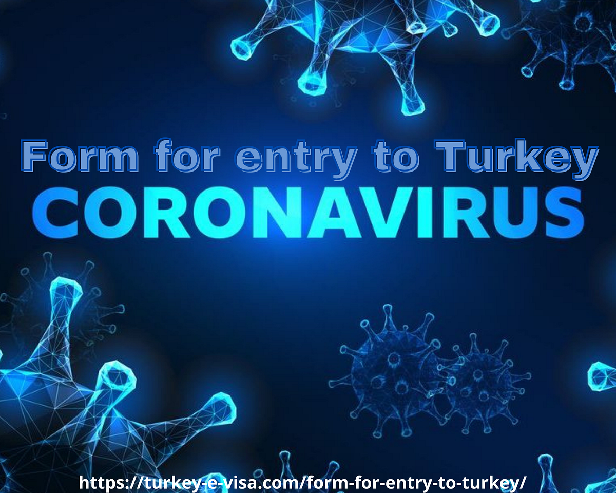 form for entry to Turkey - Turkey Visa - Medium
