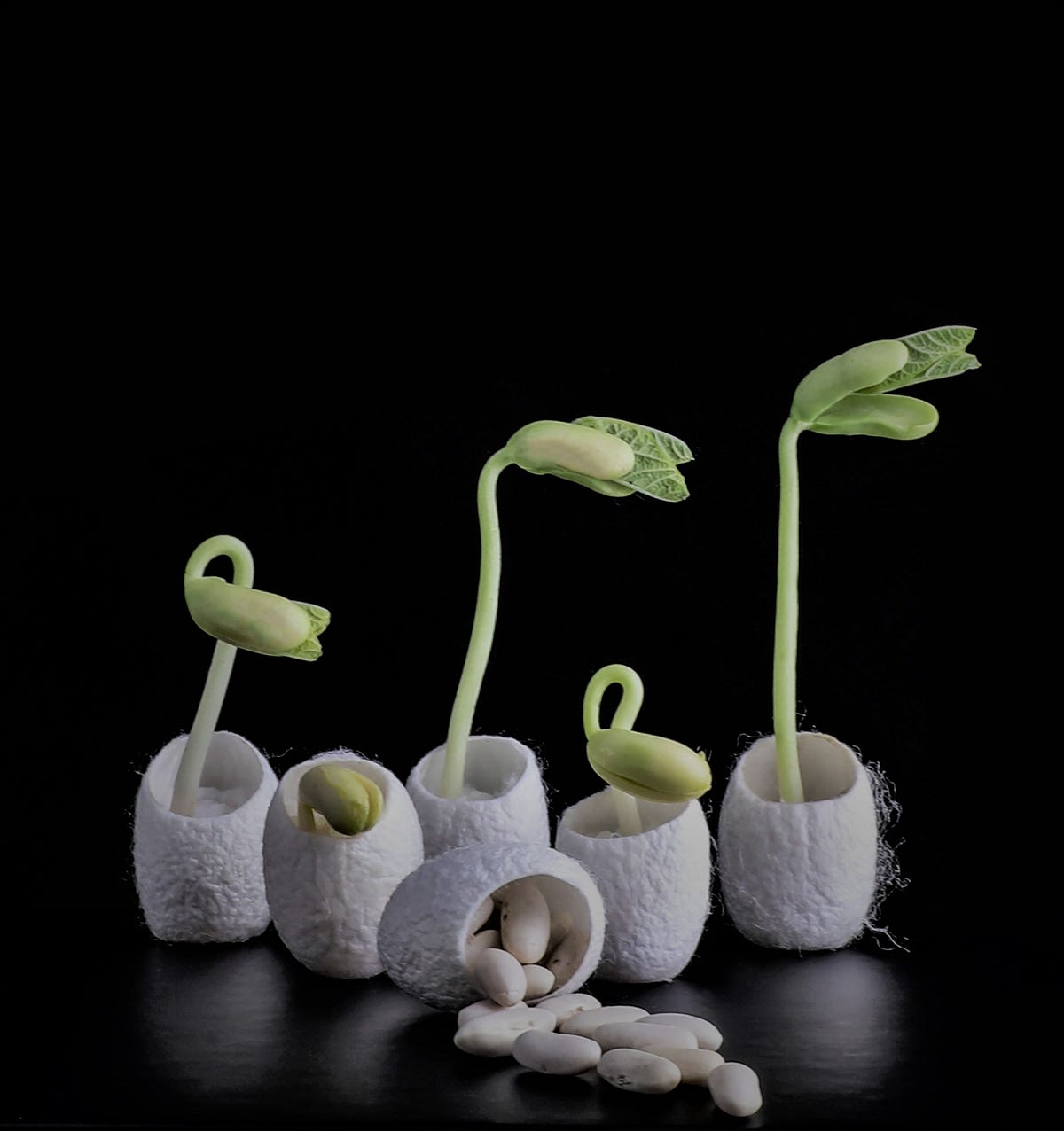 A Complete Guide to Seed Coating. According to this latest publication ...