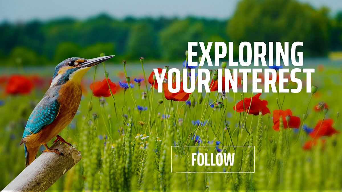 how Crush Writer’s Block and Create Awesome Medium Articles | by Tech ...
