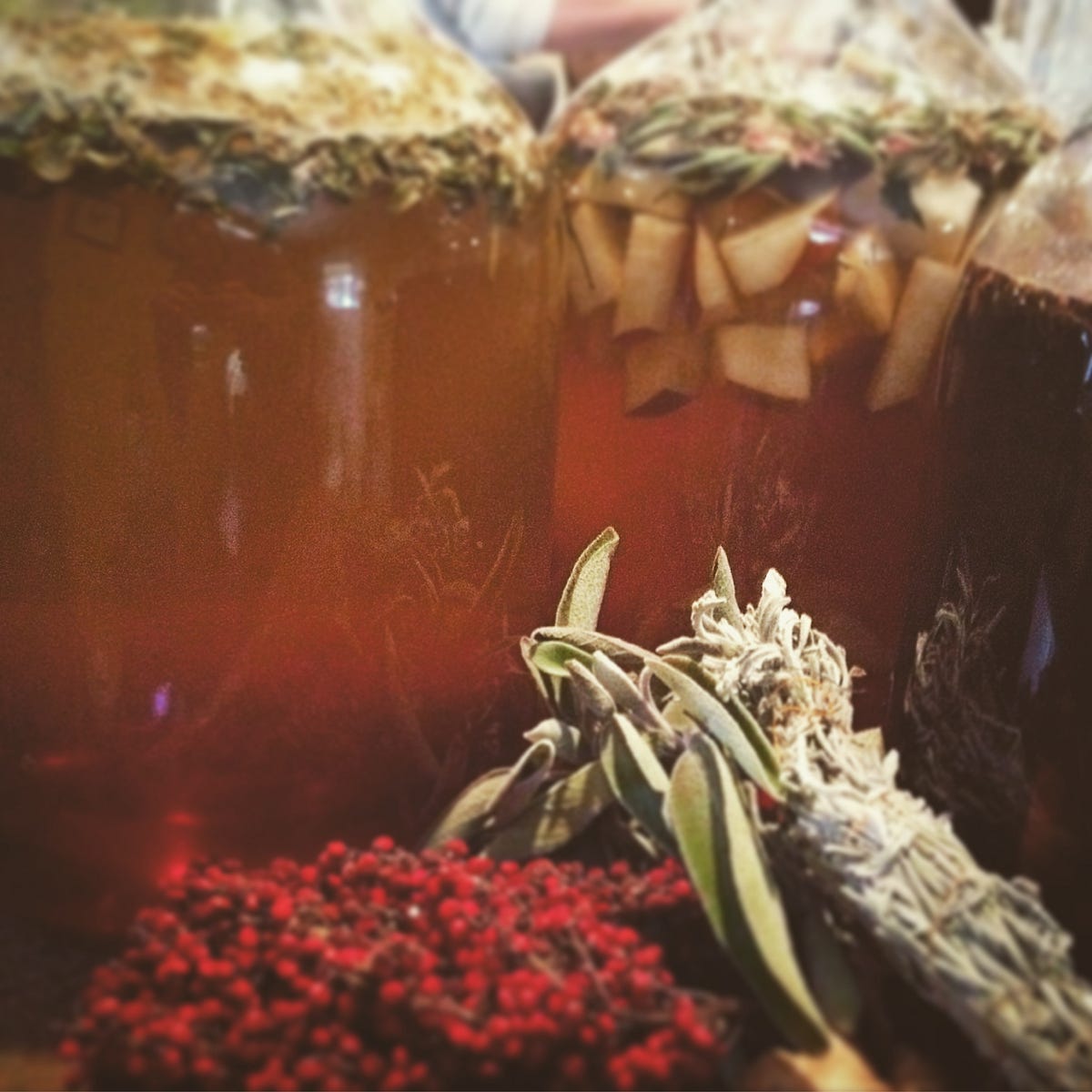 Psychoactive Mead & Cider. Went to the country today with Ben to… | by ...