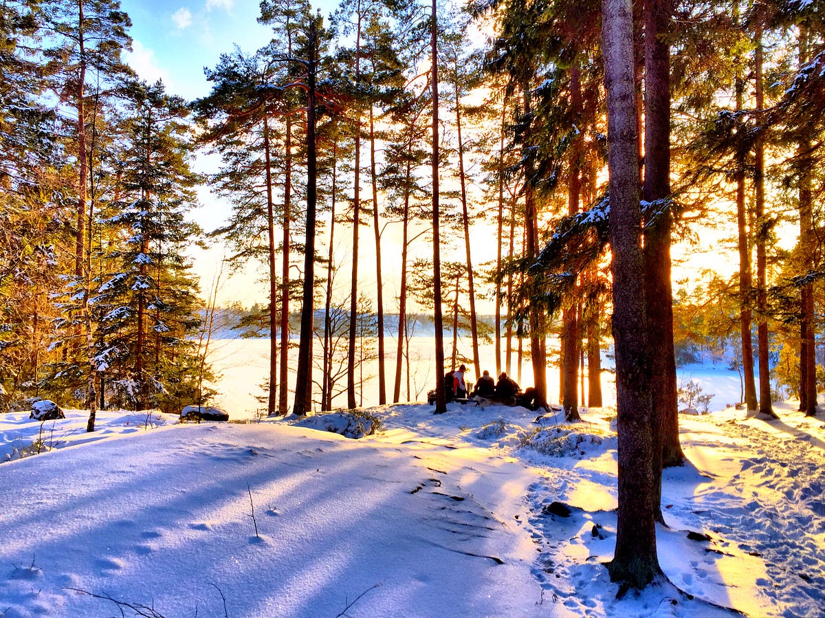 All children should spend time in nature | by ️ Alexander Verbeek | Medium
