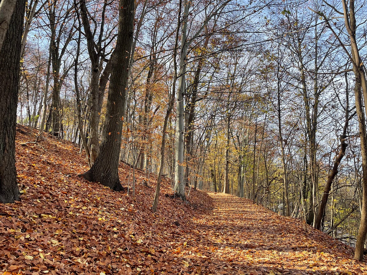 CMU Week — Dying and Reflection. Oct. 31 ~ Nov. 06, 2022 | by Sunny ...