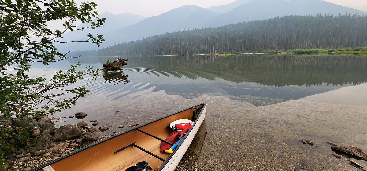 Dependency Injection (in Java). Dependency Injection solves unnecessary ...