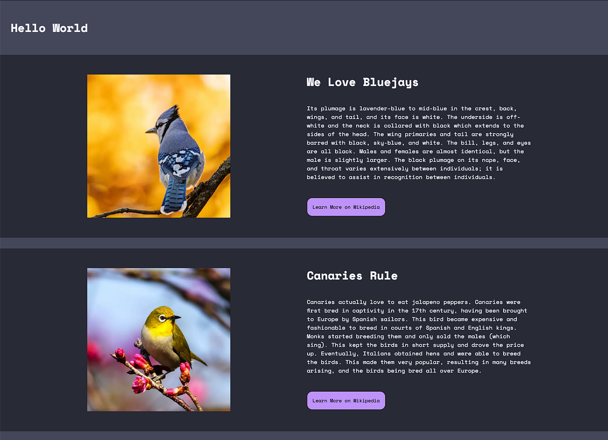 How to Get Next/Image to Work in Reuseable React Components | by ...