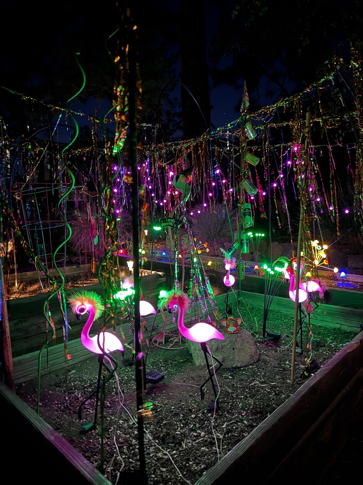 We Are Dying.. We must get outside. | by Dr. Anita | Medium