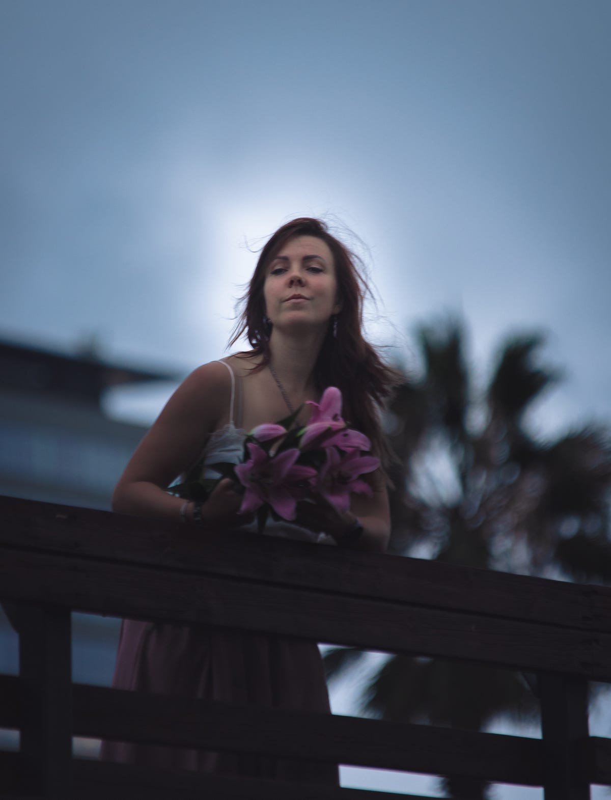 Catalyst Collapse — How Being a Manifestor Can Be Extremely Lonely | by ...