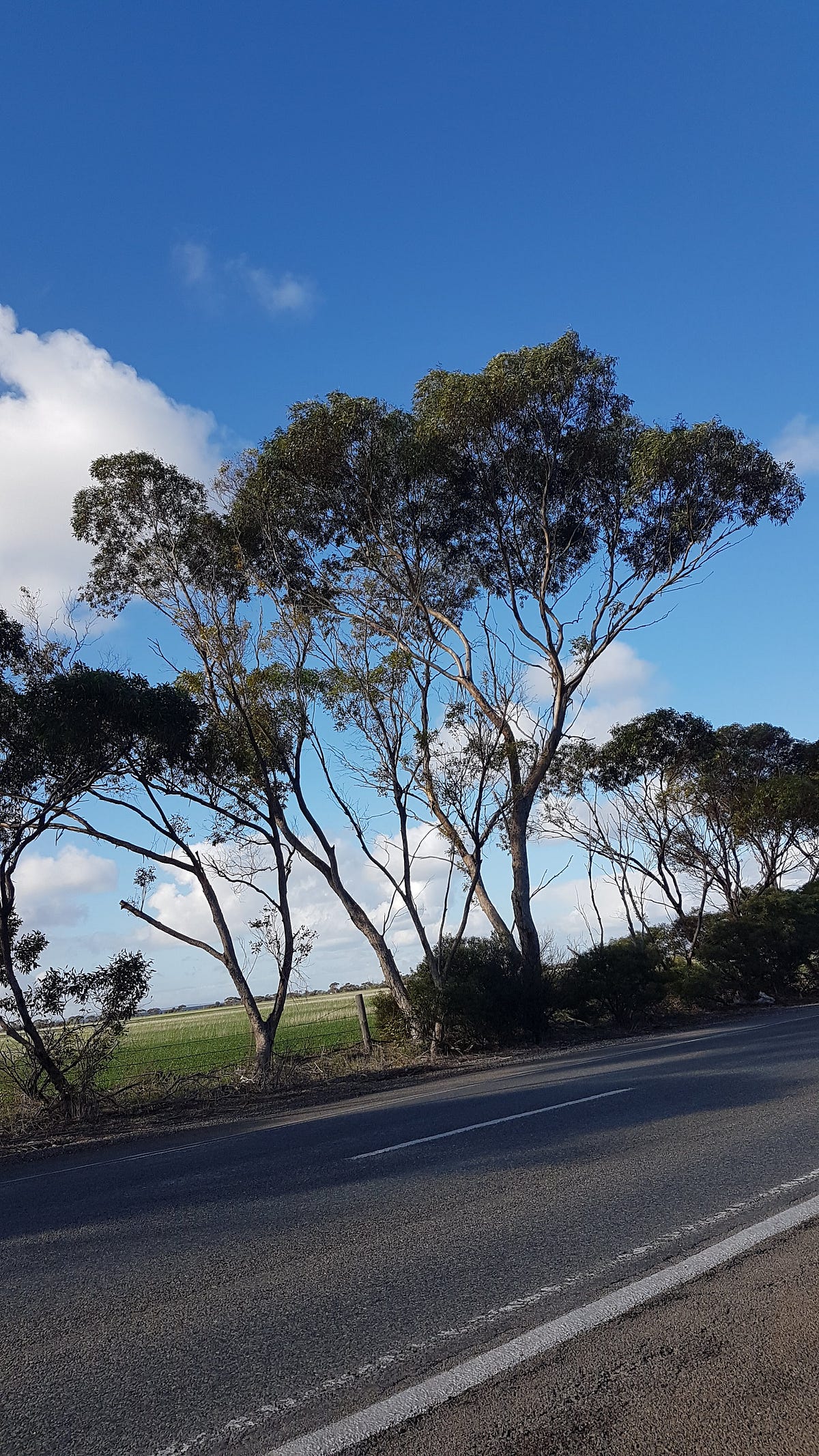 Your Attitude Equals Your Life. Yes, your attitude equals your life ...