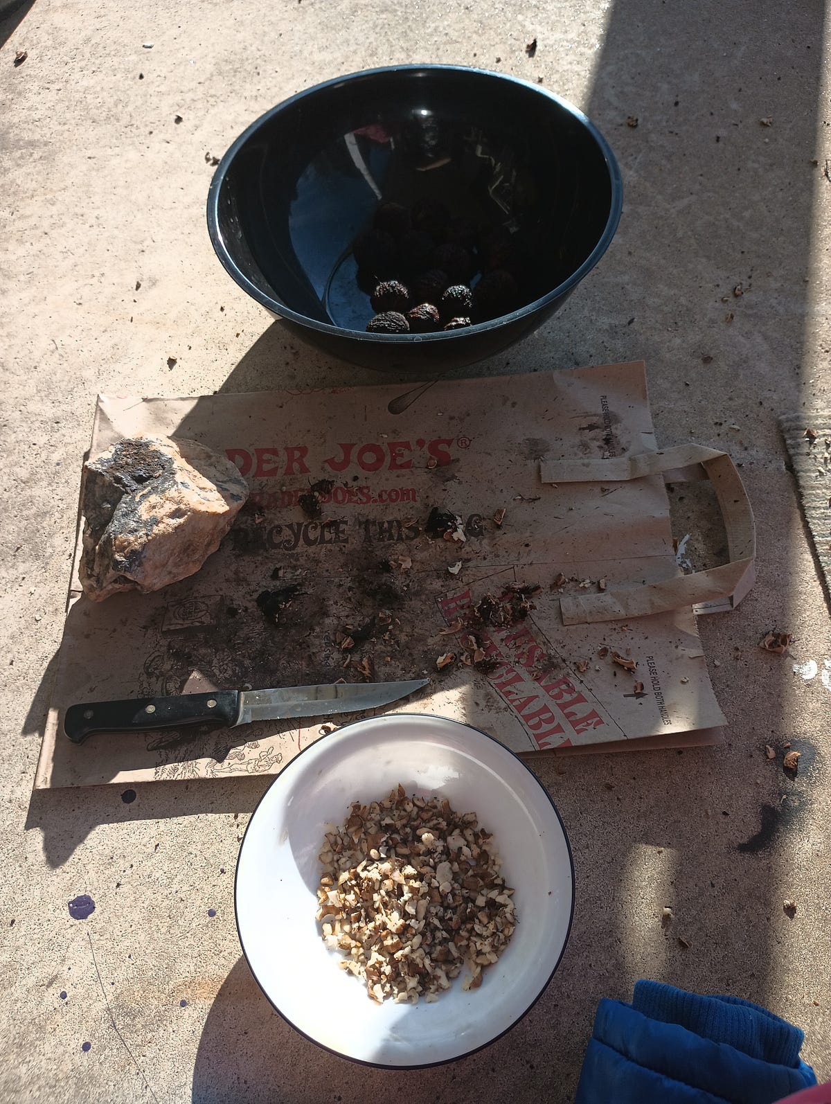 First walnut harvest 😁 | by Linda Hartlove | Medium