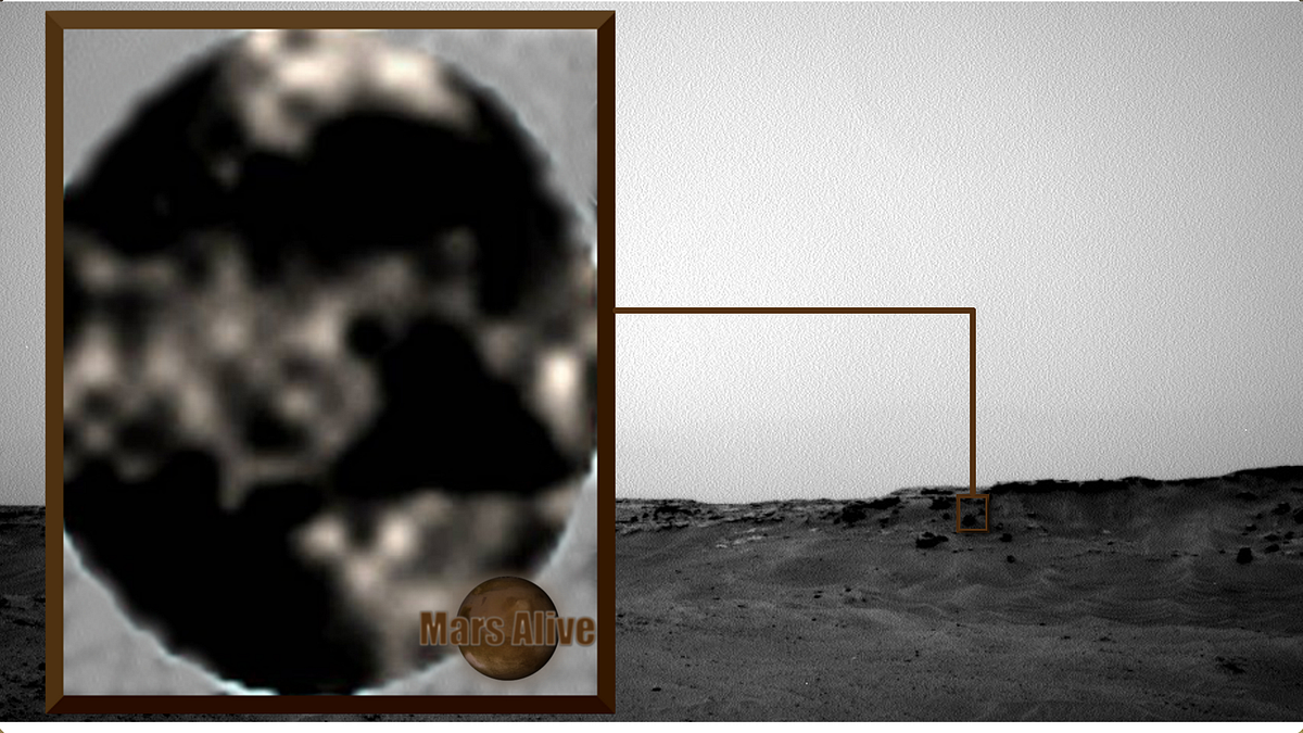 FEMALE ON MARS?. MARS ALIVE — Searching for life on… | by MARS ALIVE ...