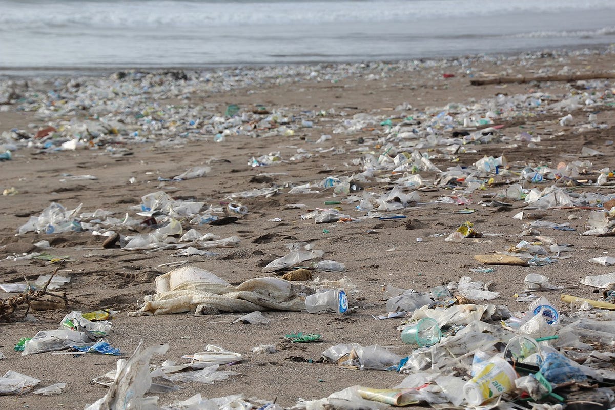 How Caribbean Islands are Tackling Climate Change | by Jada Steuart ...
