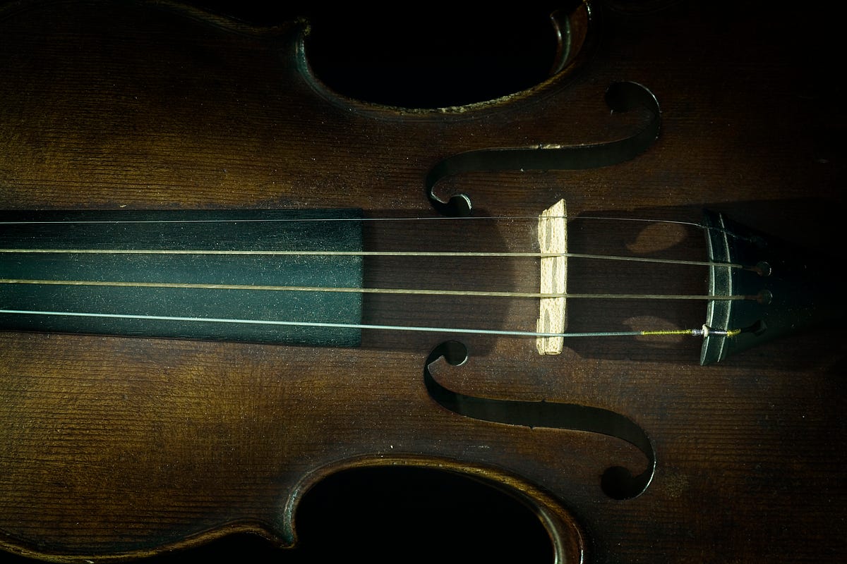 Fretting. “Fretting is for fiddle-makers. This Is… | by Christopher ...