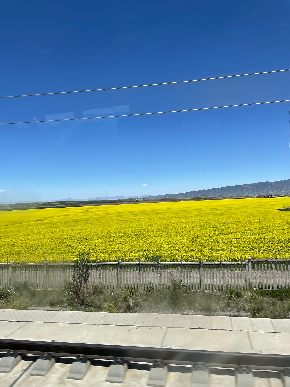 Zhangye: a Web of Choices. *Caroline Knowles | by Caroline Knowles | Medium