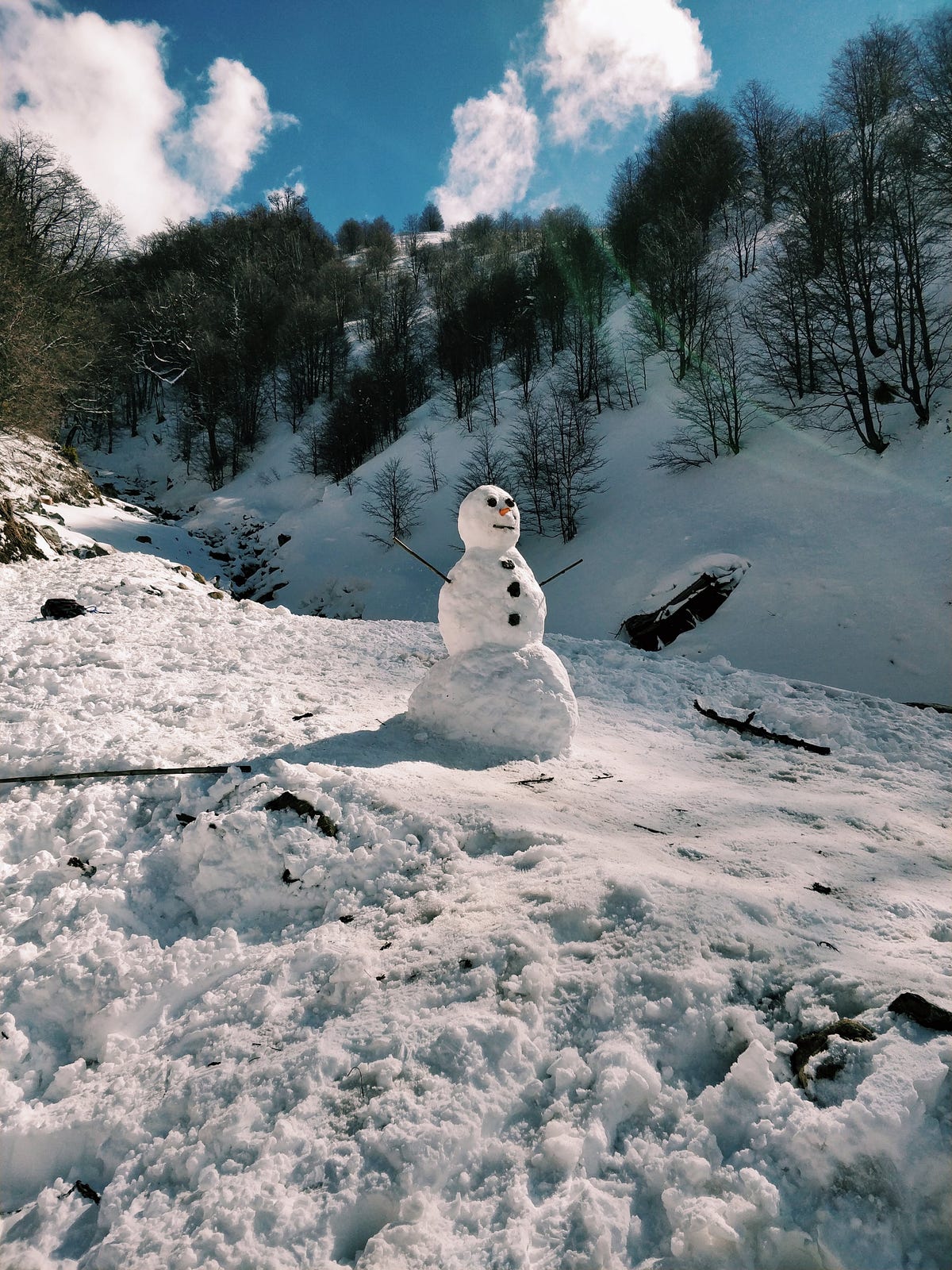 Everybody Loves a Snowman. A Brief History of the Iconic Winter… | by ...