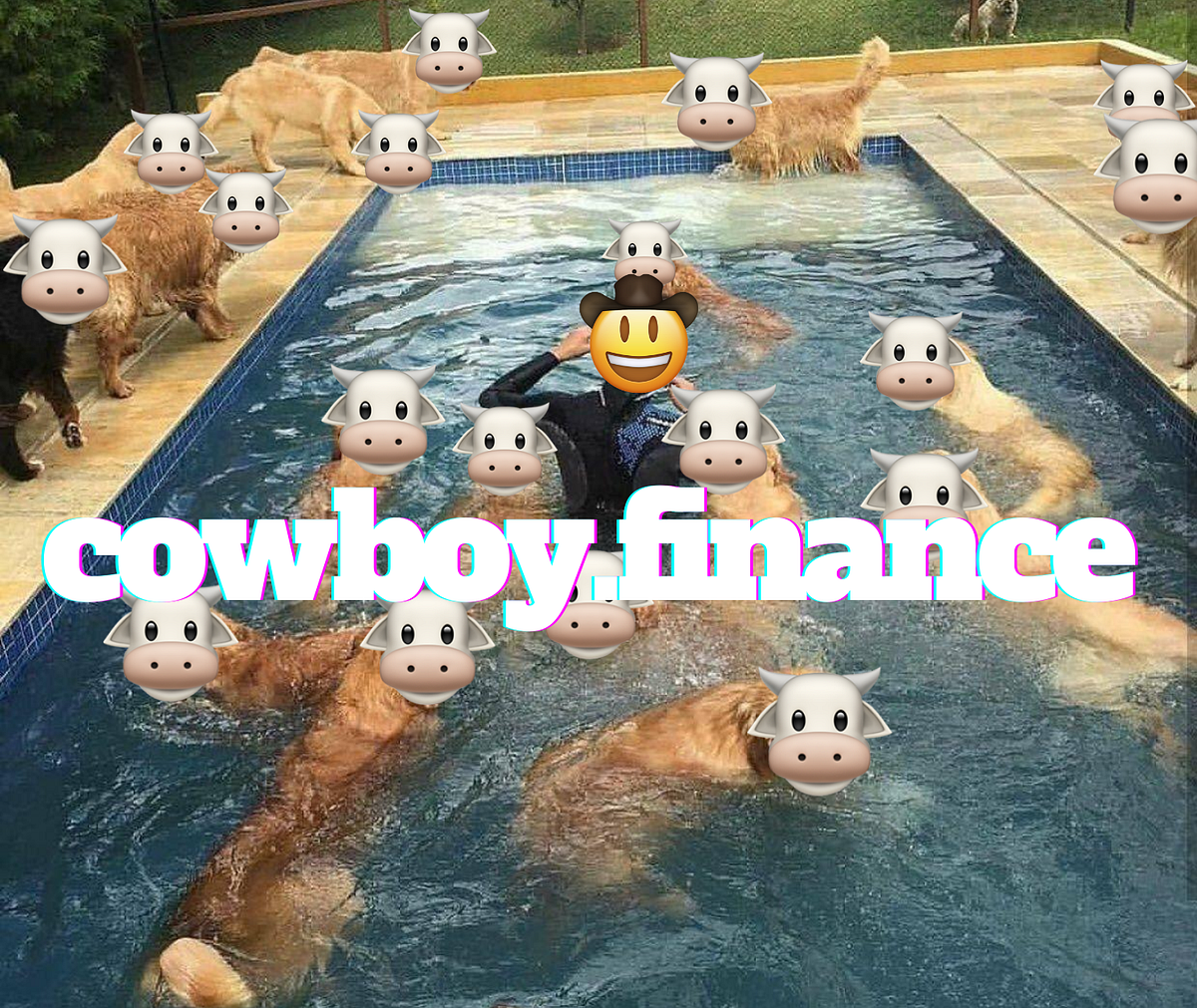 So COWboys and COWgirls, its finally the time you’ve all been waiting ...