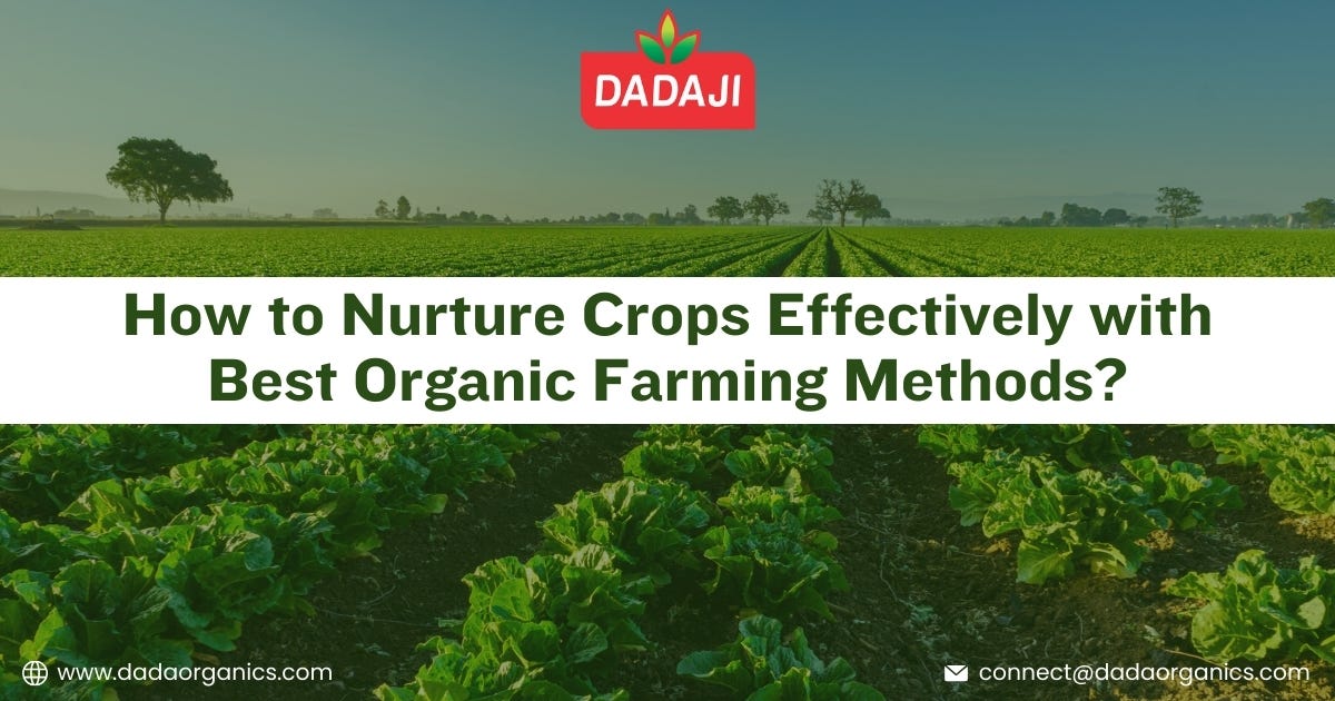 How to Nurture Crops Effectively with Best Organic Farming Methods ...