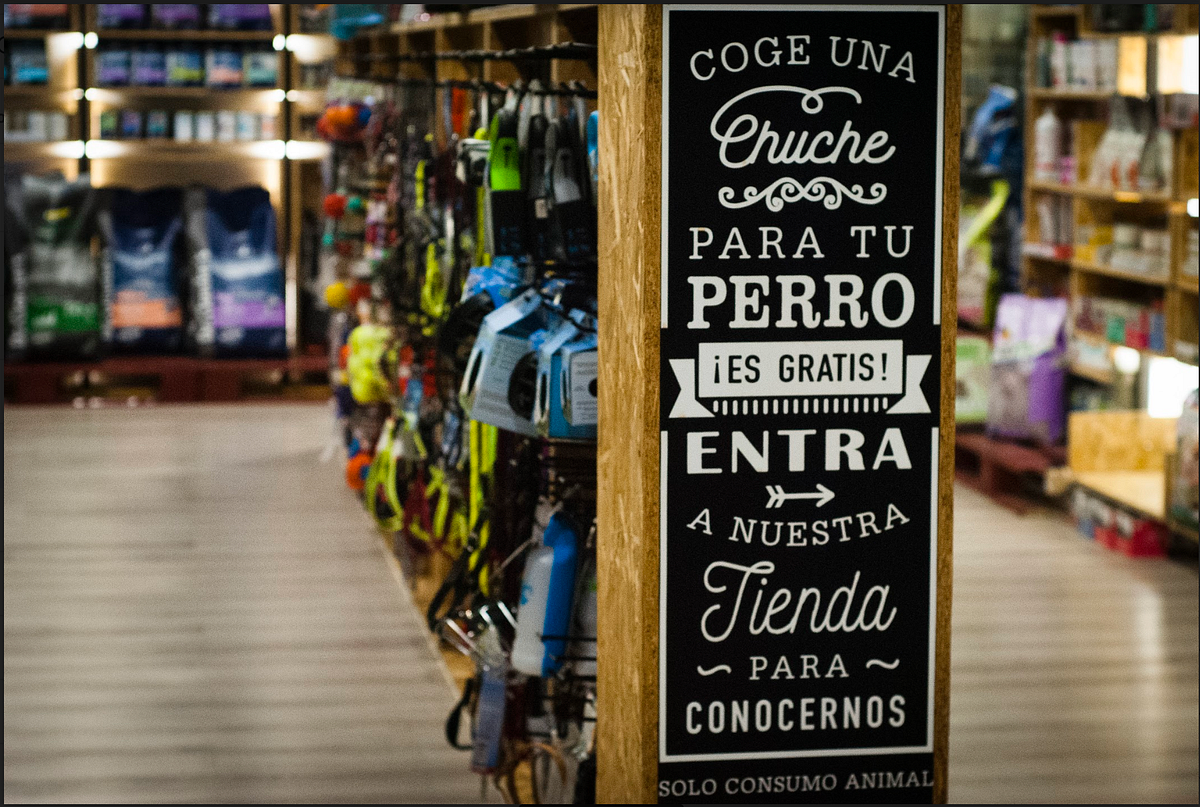 Crazy Animal, una tienda de animales especial. | by Romina Barra ...