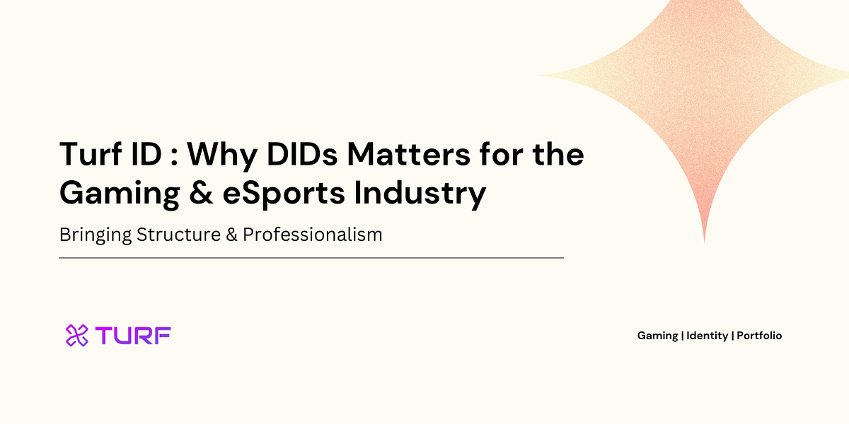 Turf ID: Why DIDs Matter for the Gaming & eSports Industry | by Vibhav ...