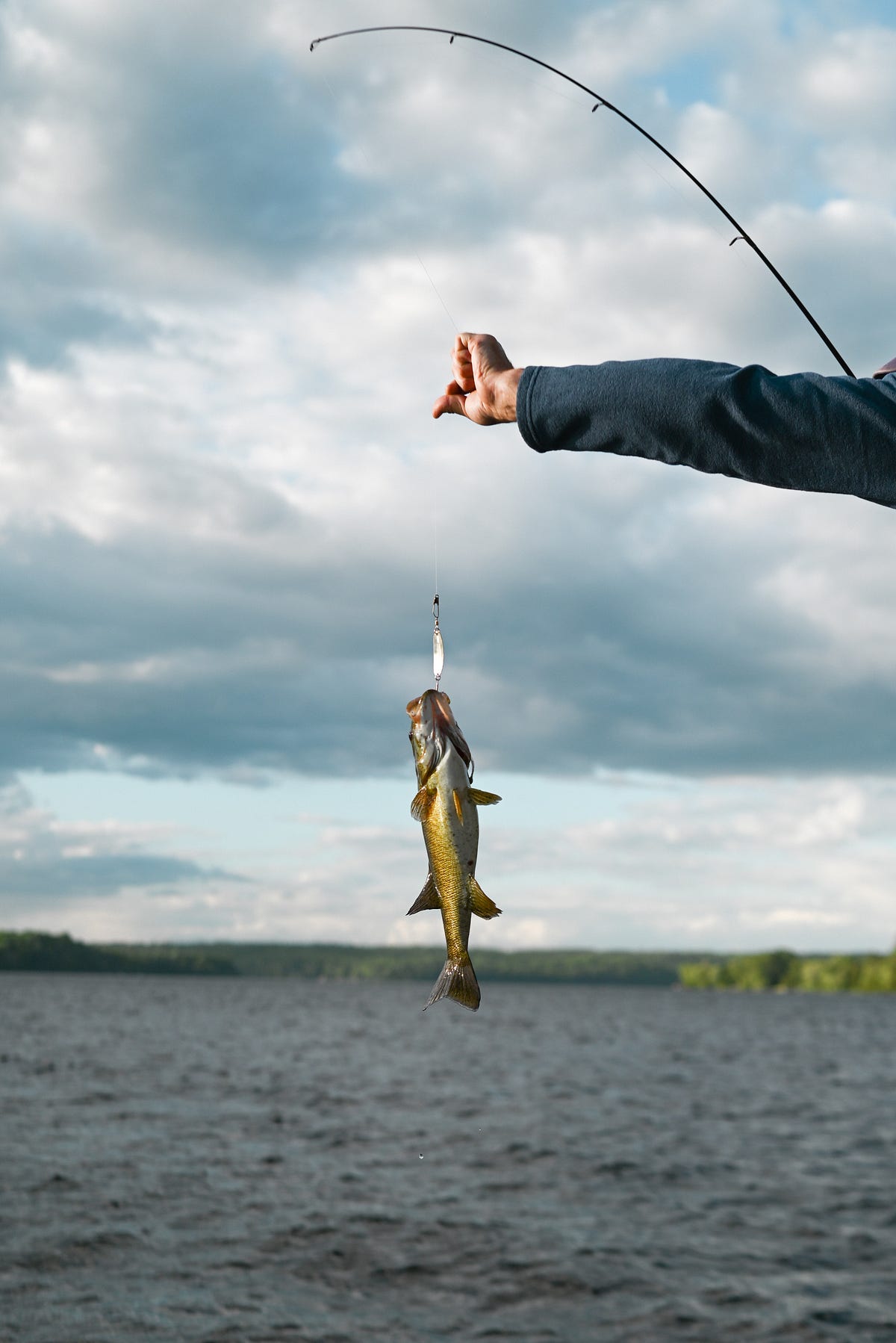 hhWhich fishing line is best?. The choice of the best fishing line ...