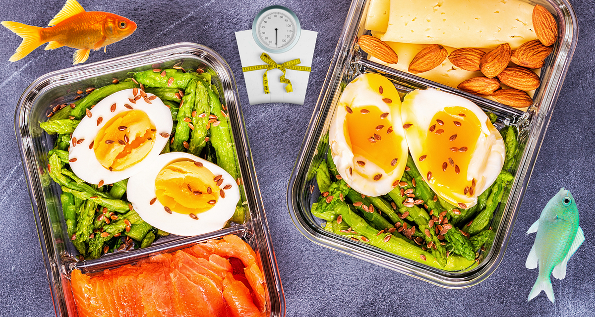 20 High Protein Lunch Ideas To Keep You Full | by Aks Reflected | Medium