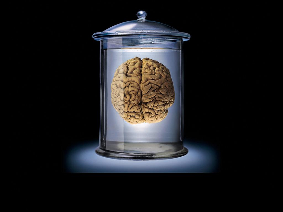 The Nemesis Kernel: A Narrative Archive (2005) | by Madhusudan Gopanna ...